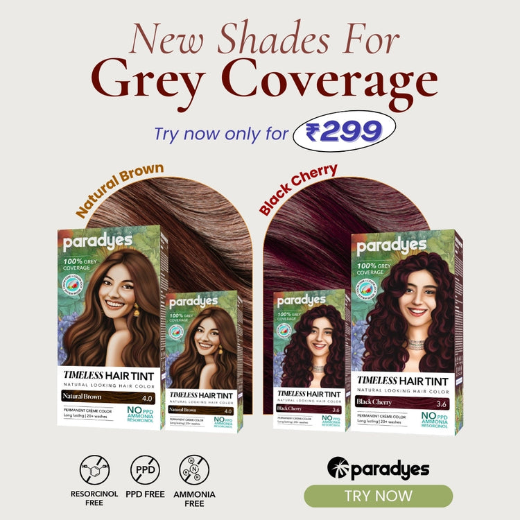 What Level Is My Hair Color Level? Understanding The Color Chart – Paradyes