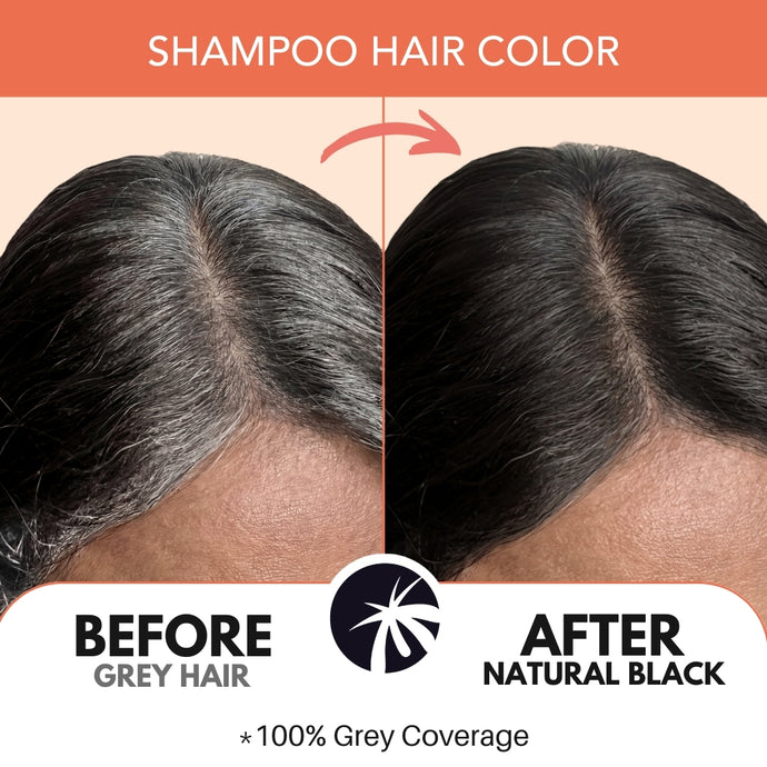 Paradyes Coconut Fix Shampoo Hair Color Natural Black | 5-Min Grey Coverage