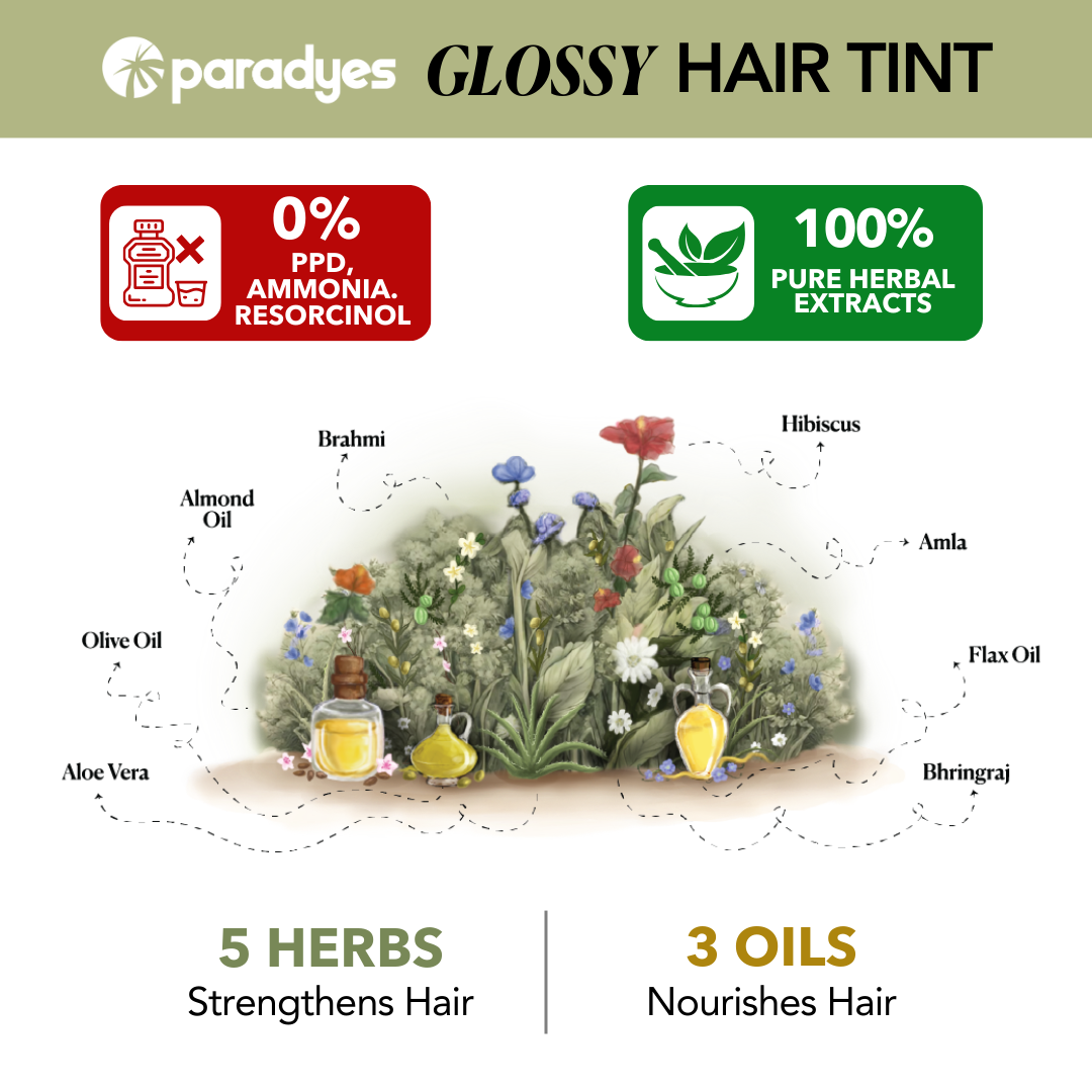 Buy Now Paradyes Berry Plum Glossy Hair Tint | No Bleach, Semi ...