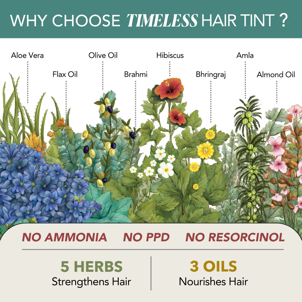 Buy Now Paradyes Dark Brown Timeless Hair Tint